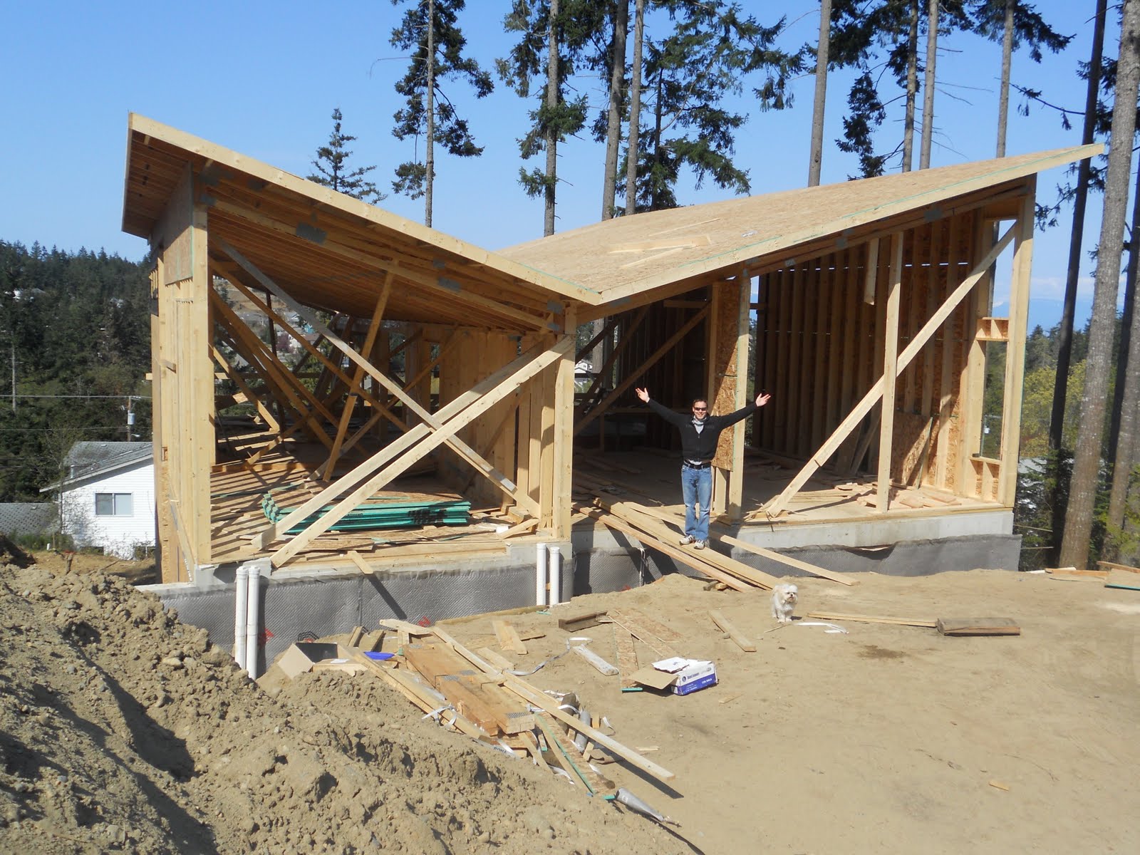 Butterfly House: April 24th - Main floor - Roof trusses