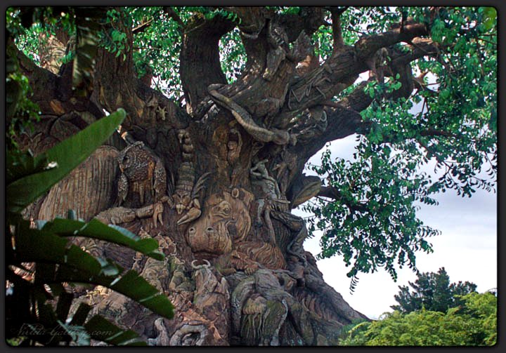 Art is Man's nature. Nature is god's art: The Tree of Life....