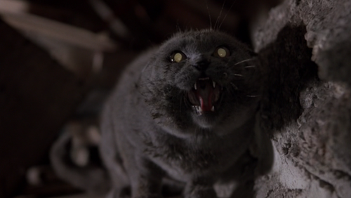 The Jungle Store: The Top 10 Scariest Animals In Movies