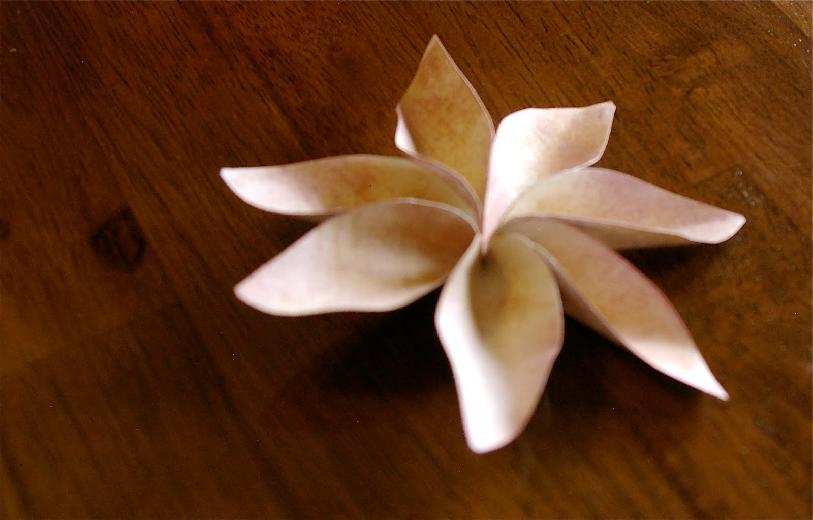 Scrapbook Savvy: Paper Flower Tutorial