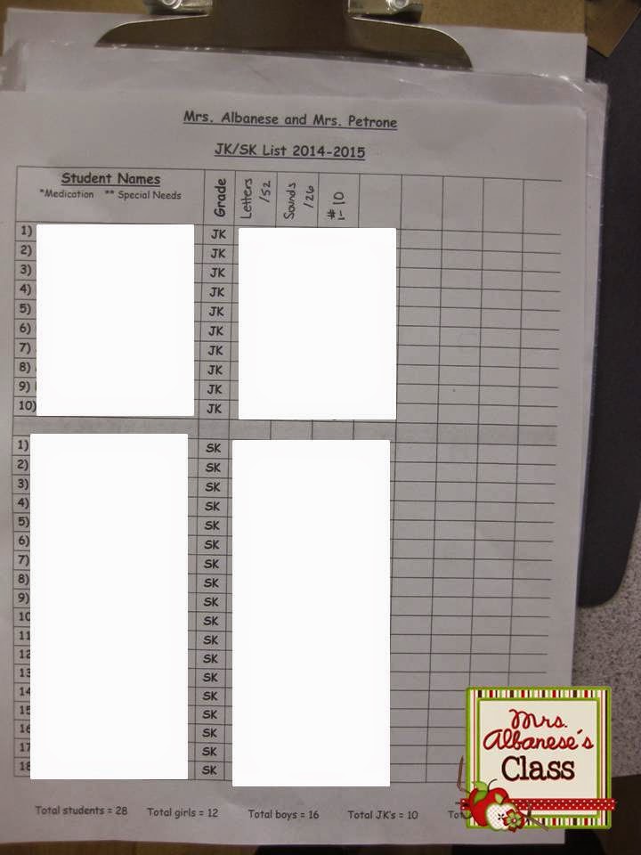 The importance (and fun!) of Documentation | Mrs. Albanese's ...