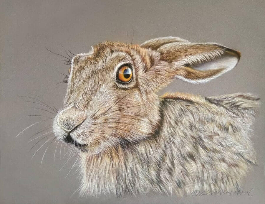 Design Stack: A Blog about Art, Design and Architecture: Animal ...