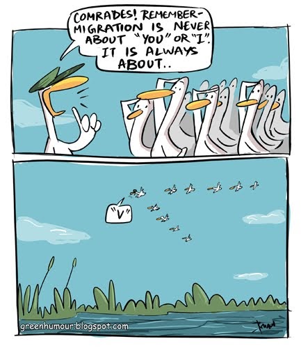 Green Humour: The Principles of Migration