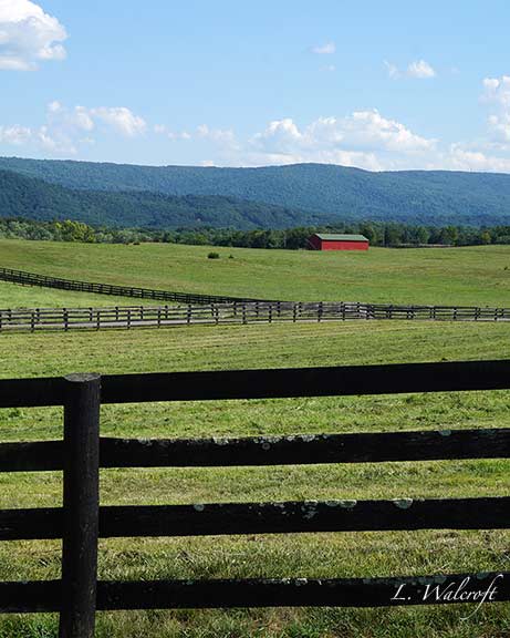 Beautiful Farm Scenery