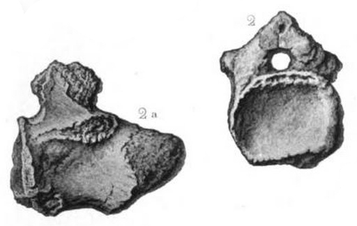 Equatorial Minnesota: Your Friends The Titanosaurs, part 31 ...