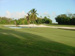 Conoce Grand Bahamas: Que hacer en Gran Bahama