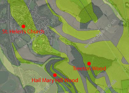 The Language of Stone: A Further Exploration of Treeton