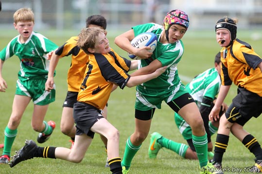 ElephaNZa: Spice of Life