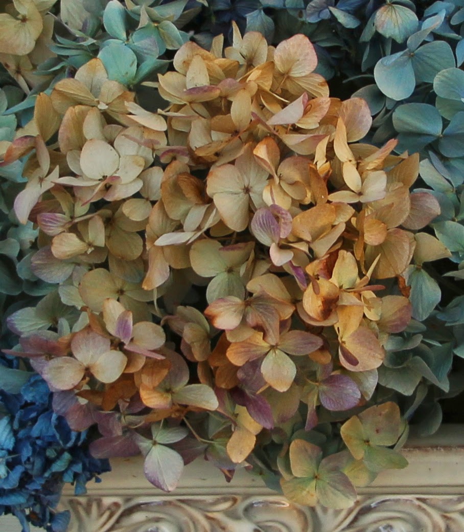 DRIED HYDRANGEAS - Fall arrangements that last for years - Sowing the Seeds