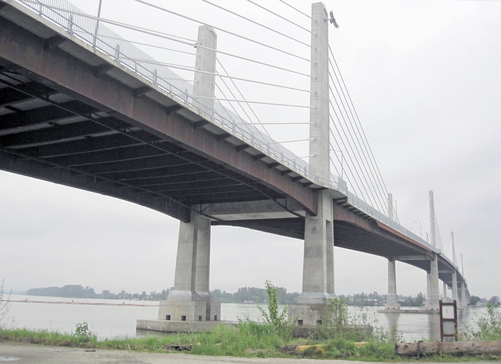 Bridge of the Week: Cable-Stayed Bridges - Golden Ears Bridge (2)