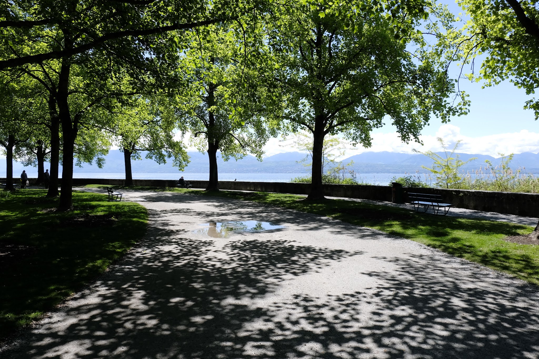 The Month of June - Reflections and Nature