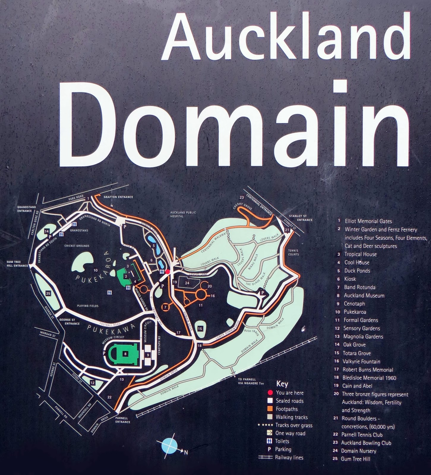 sconzani: Auckland walks: The Domain