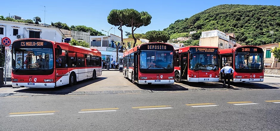 Vieni ad ischia: Orari Eav Bus