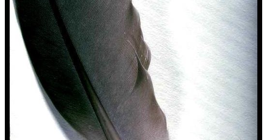 De milagro andamos: Exangüe