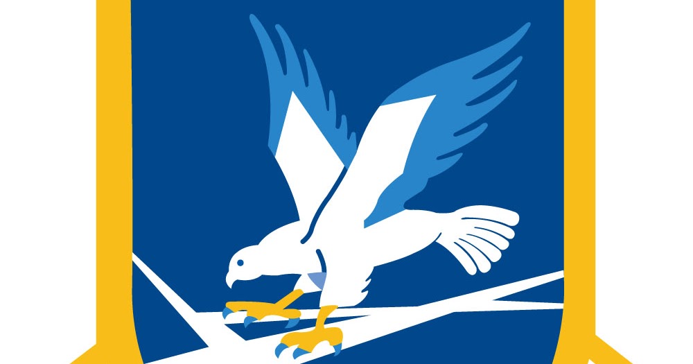 Webbingbabel: USAF Defensor Fortis Load Carrying System / 2004