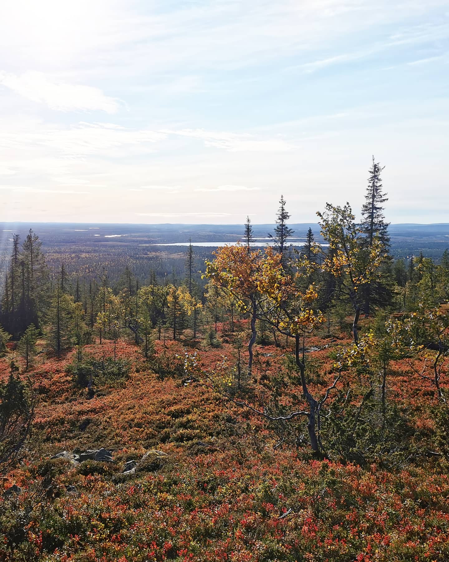 Travelisa: Ruskaretkeilyä Ylläksellä: Pakasaivo ja Tuomikuru