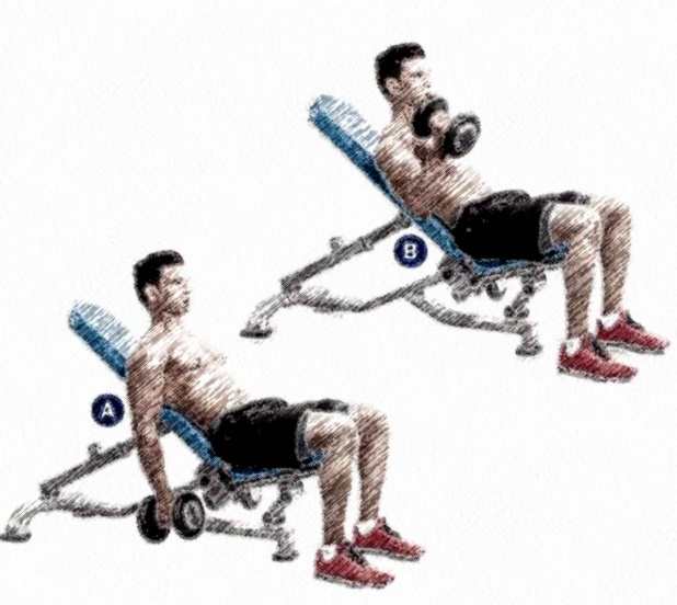 Work Your Upper Body | Health Fitness Exercise