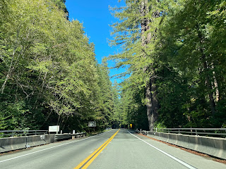 US Route 199; the Redwood Highway
