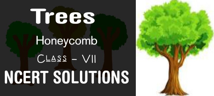 Trees Class 7 NCERT Solutions Edunation19 trees-class-7-ncert-solutions-edunation19