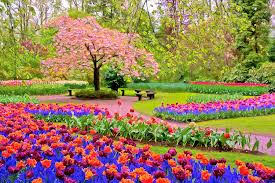 बसंत ऋतु ( spring season ) निबंध