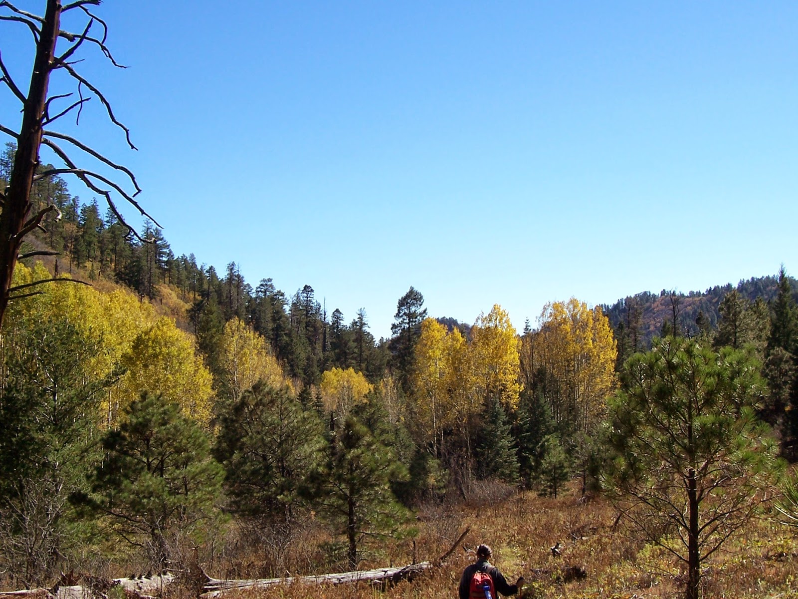 Southern New Mexico Explorer: Railroad Canyon/Gallinas Canyon( FT 128 ...