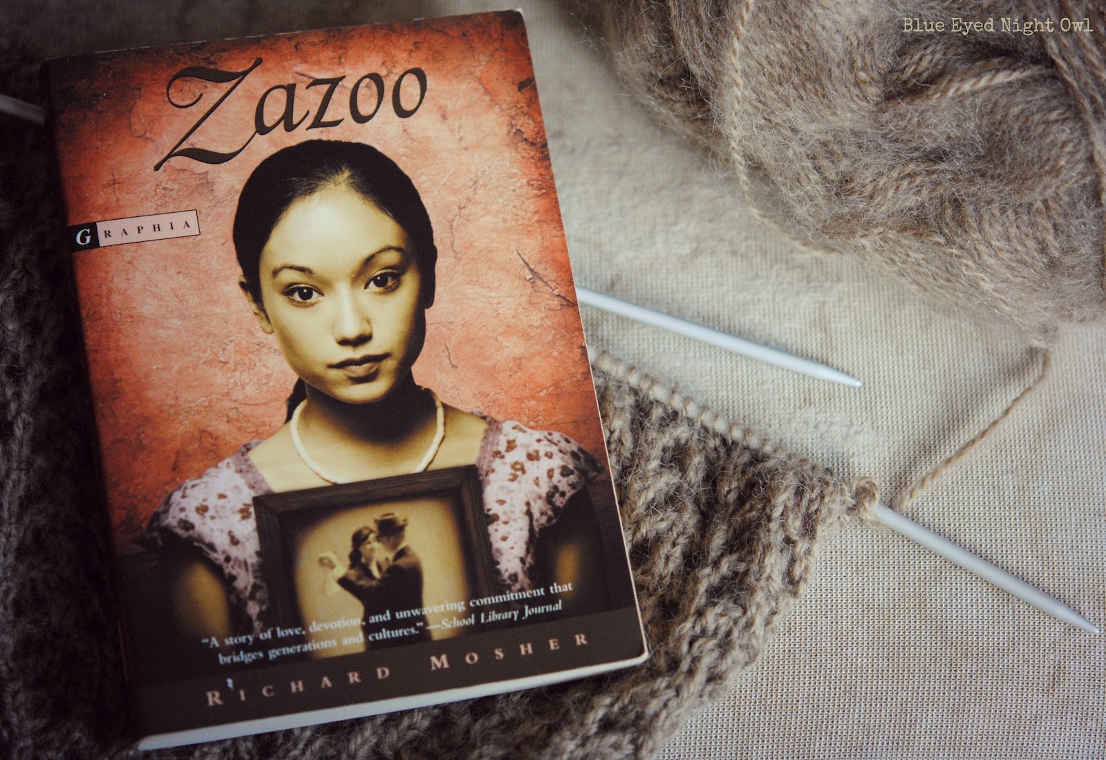 Blue Eyed Night Owl: Great Reads: Zazoo