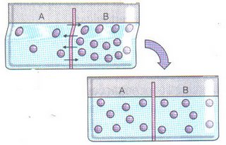 Biologia no ensino médio: 2º ano - aula 24 - Difusão Simples e Difusão ...