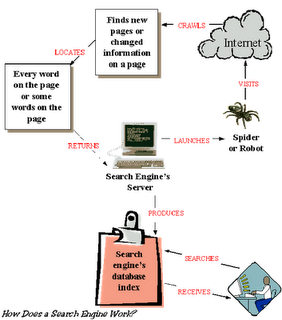 Cara Kerja Search Engine | Evelyn