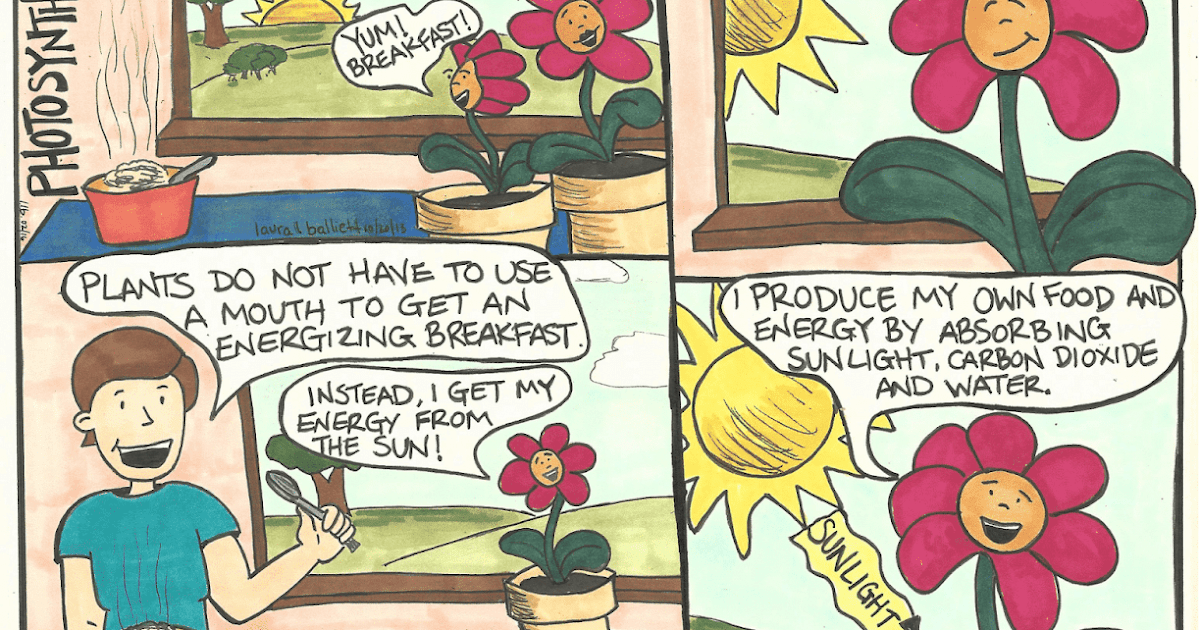 Photosynthesis Comic