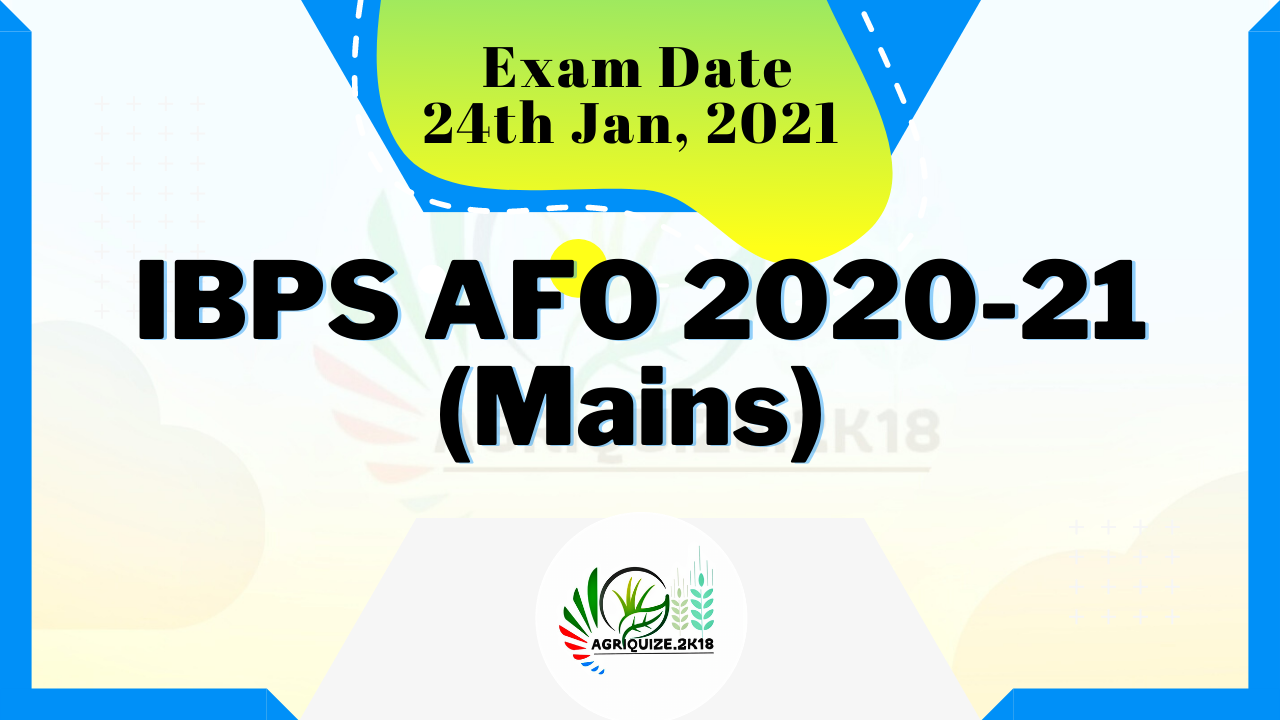 IBPS AFO Mains Exam 2020 21 Question Paper With Answer Key ibps-afo-mains-exam-2020-21-question-paper-with-answer-key