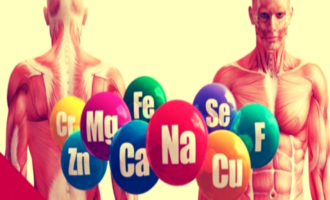 How Many Chemical Elements are in the Human Body?