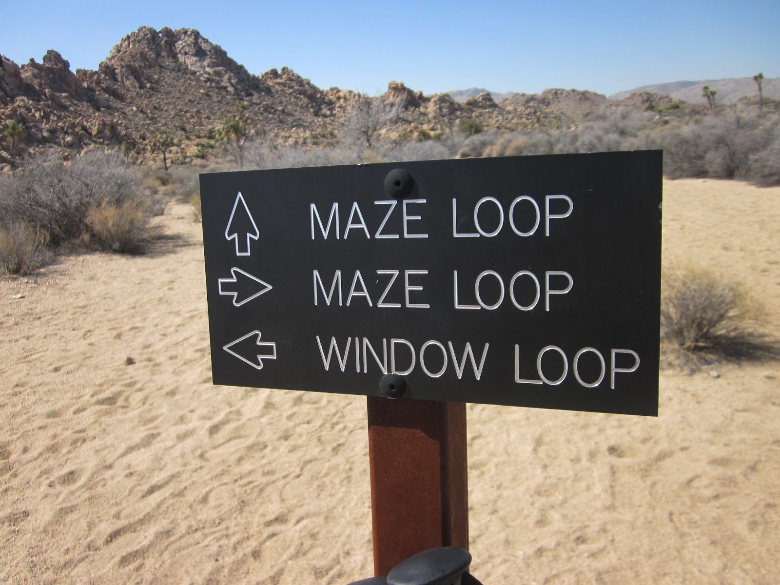Smoky Scout's Hiking Adventures: Joshua Tree NP - North View & Maze ...