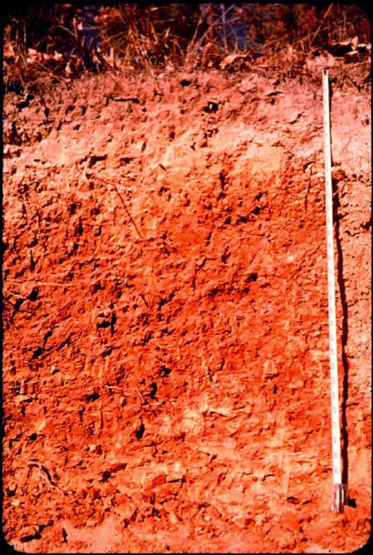 Jenis Tanah dan Klasifikasinya