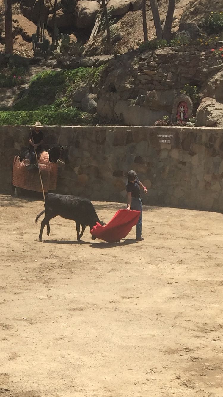 TORERIAS DE CHELIN: CHIBOLO DE LIMA TENTANDO CON LOPEZ SIMON Y JOAQUIN ...