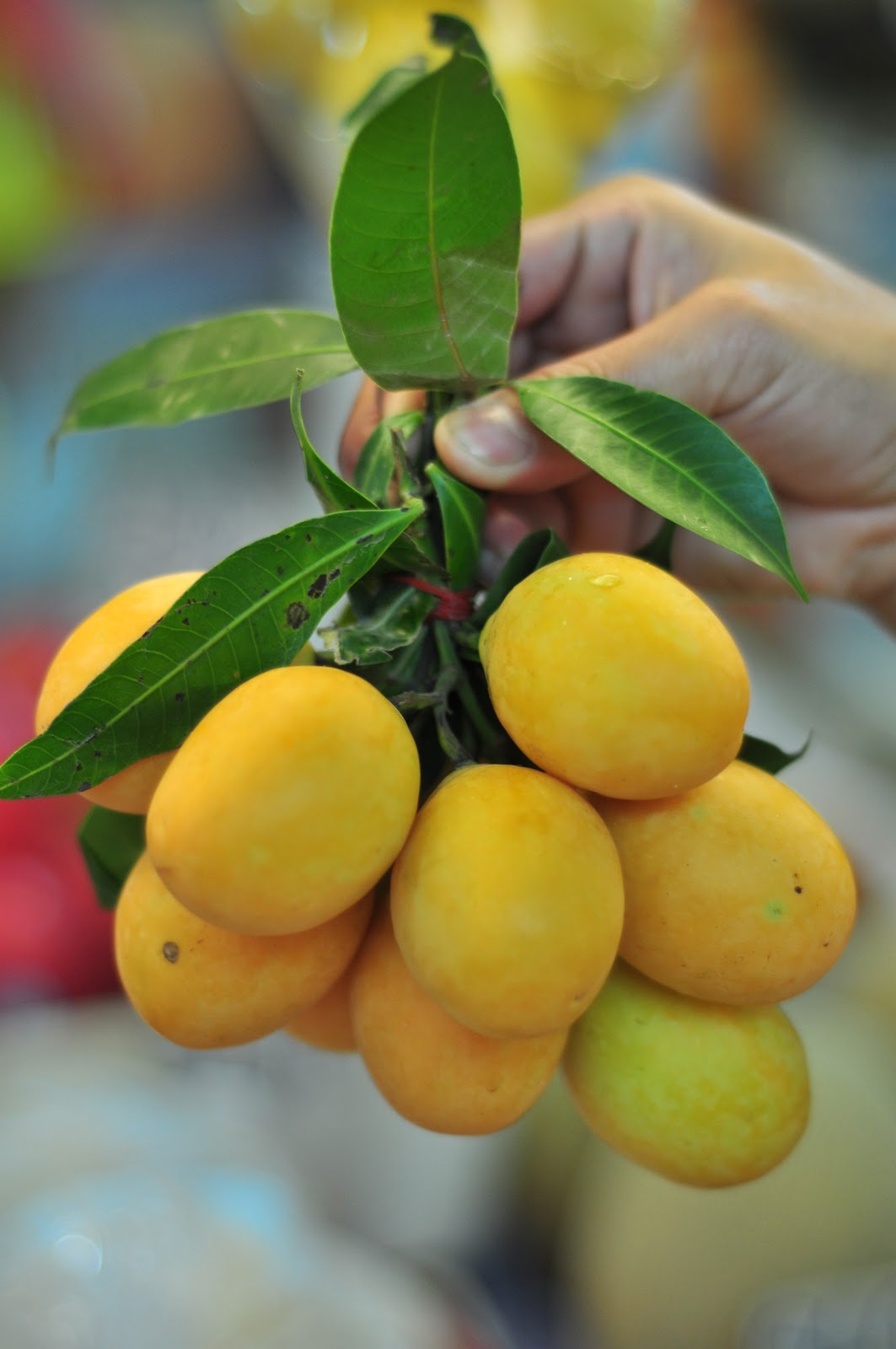 Served with love: 2011