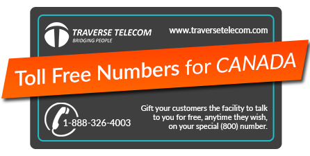 Traverse Telecom Inc.