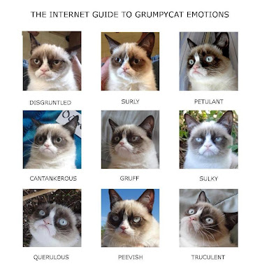 Grumpy Cat: Grumpy Guide