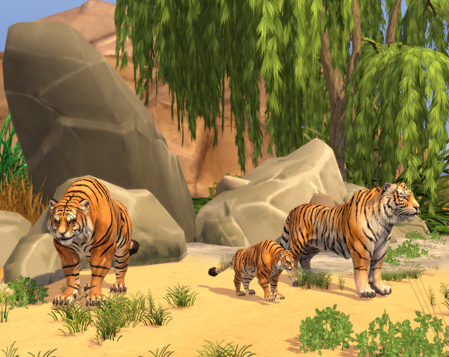 Go To Safari - Lily Sims