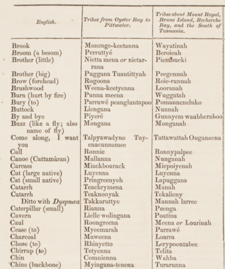 Sydney Aboriginal Language Insights: August 2015