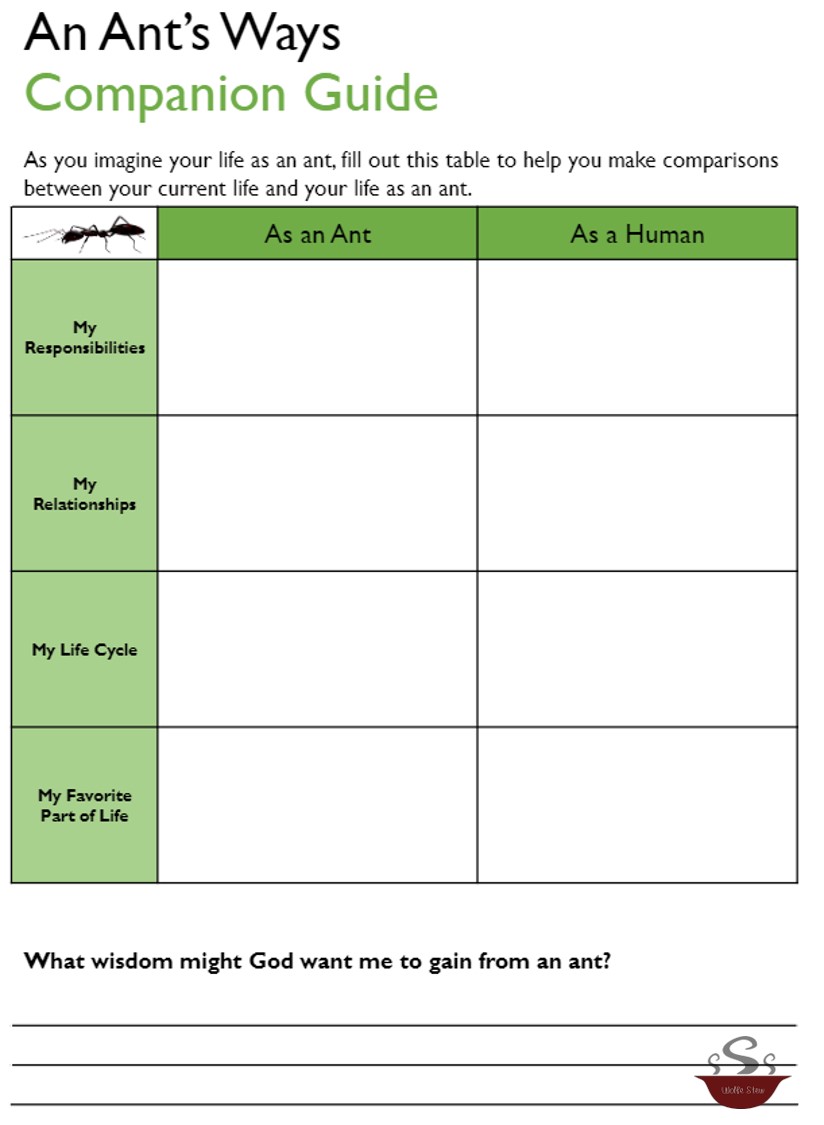 An Ant's Ways | Wisdom of Ants