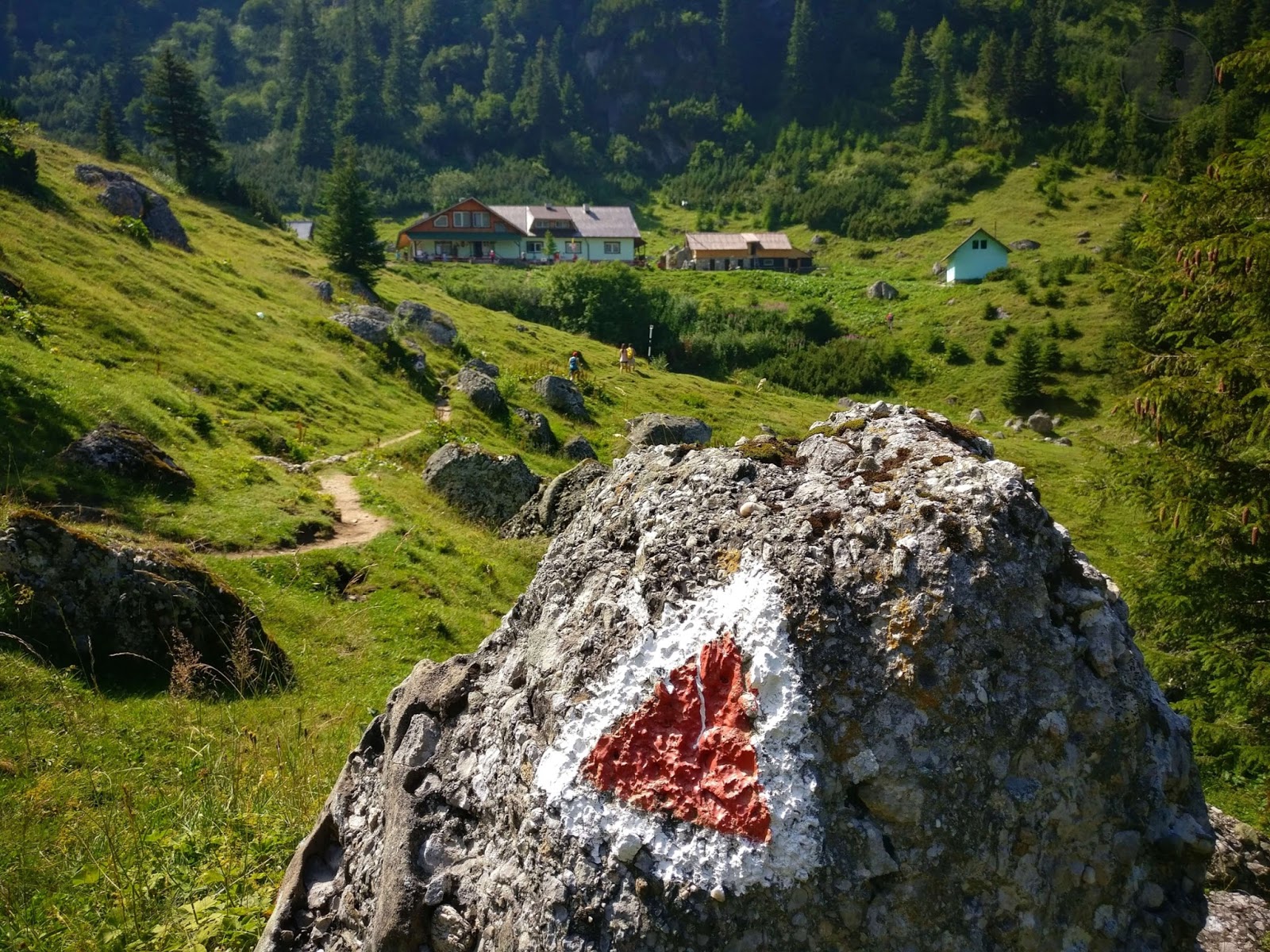 Traseu în munții Bucegi de la Cabana Diham la Cabana Mălăiești și retur ...