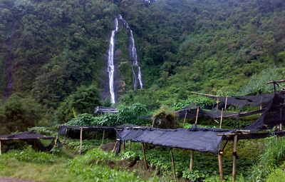 Air Terjun Tertinggi, Curug Sikarim Dieng - TOPWISATA.INFO