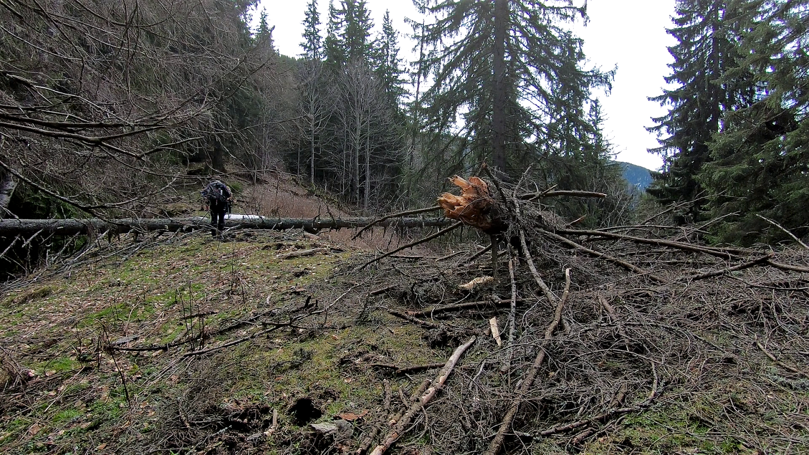 Gura Zlata - Lacul Zănoaga, o tură neterminată...