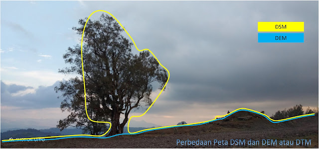 Perbedaan Peta DSM dan DEM atau DTM
