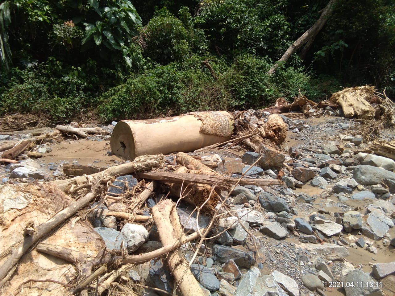 BINSU Minta Dinas Kehutanan Provinsi Sumut, Stop Perambahan Hutan Di ...