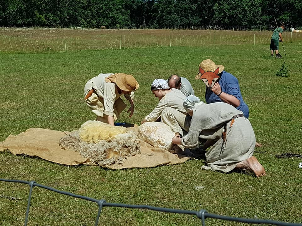 Babbling Brook: On Medieval shearing