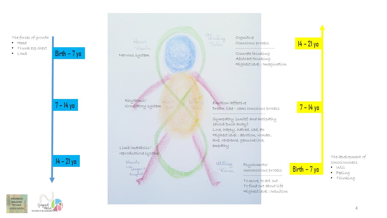 Jagad Alit Waldorf School: Three fold of human being