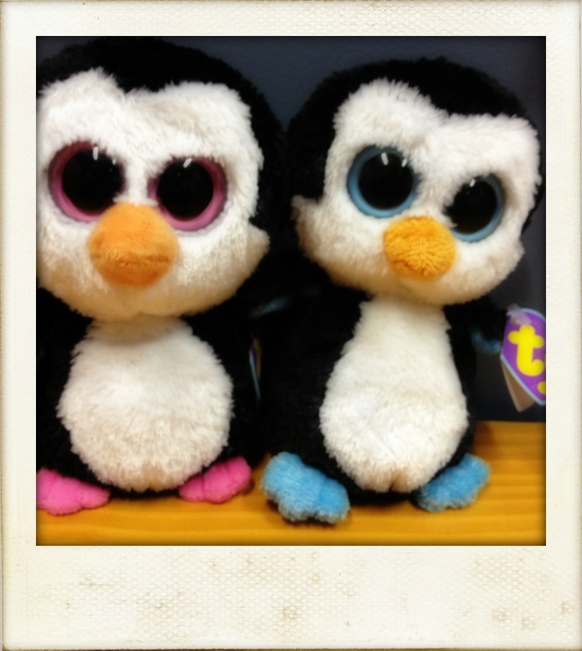 Penguin4evers: Ty Penguins...