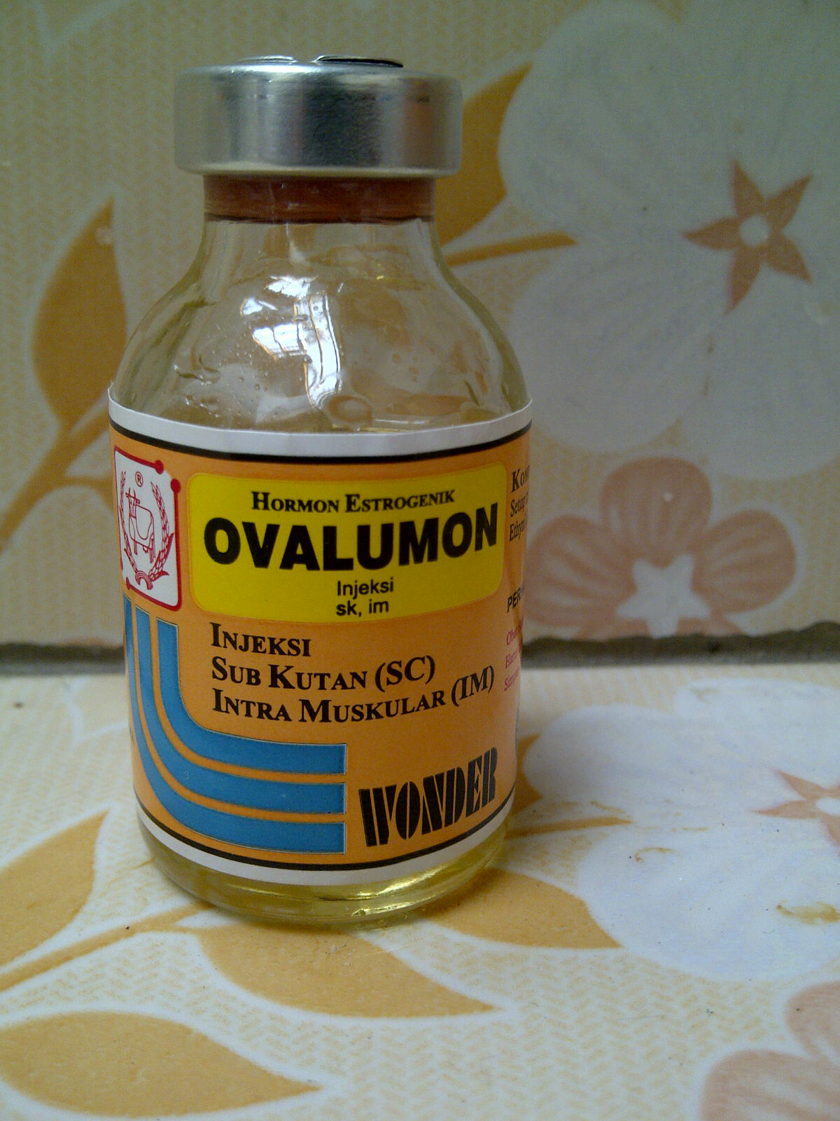 ALAT TERNAK SAPI TERBARU: OBAT HORMON TERNAK