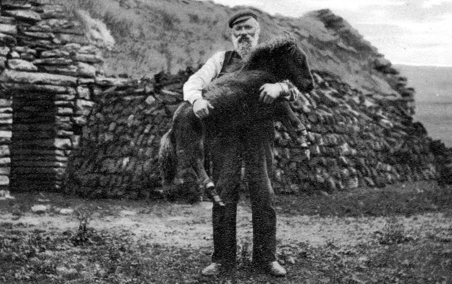 Tour Scotland: Old Photograph Crofter Carrying Shetland Pony Scotland